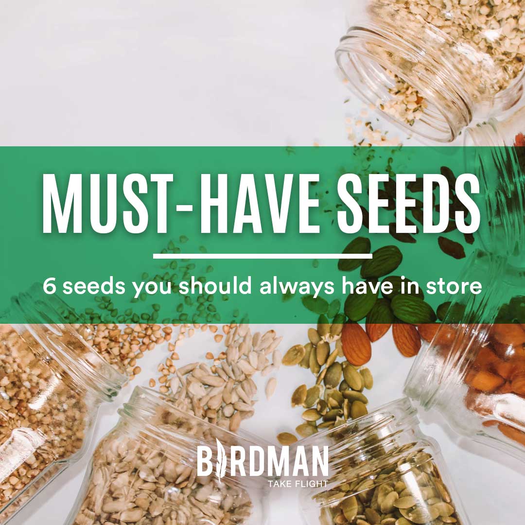 The 6 Must-have Seeds In Your Kitchen I Birdman Life Blog — Birdman USA