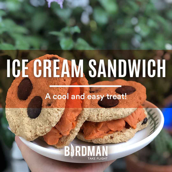 Homemade Ice Cream Sandwich - Birdman Life