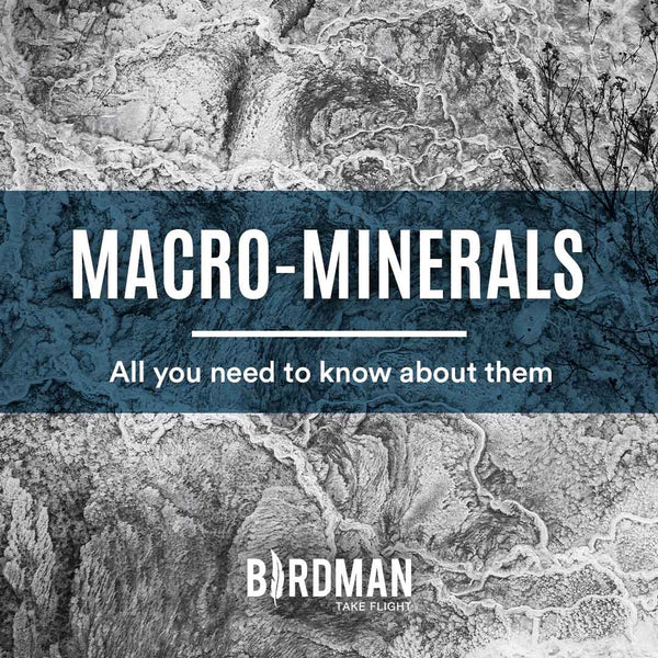 The Importance of Macrominerals - Birdman USA