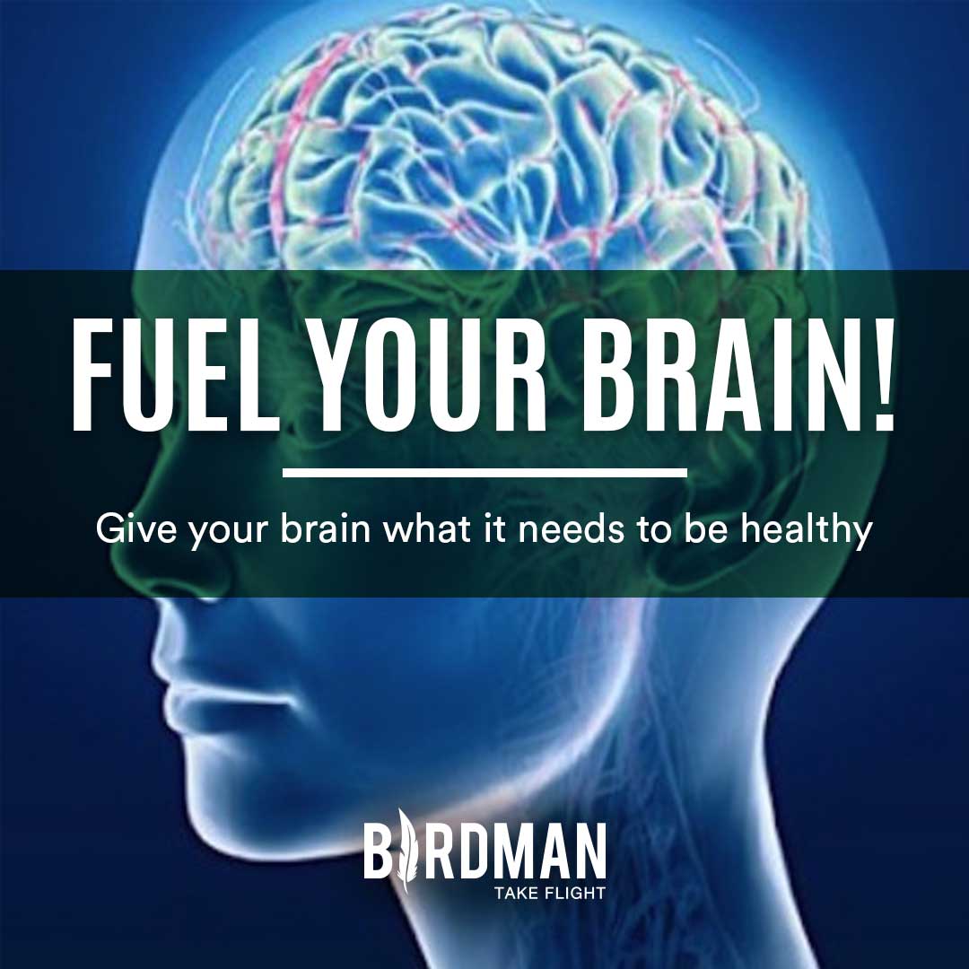 Brain Fuel - Give your Brain what it Needs! — Birdman USA
