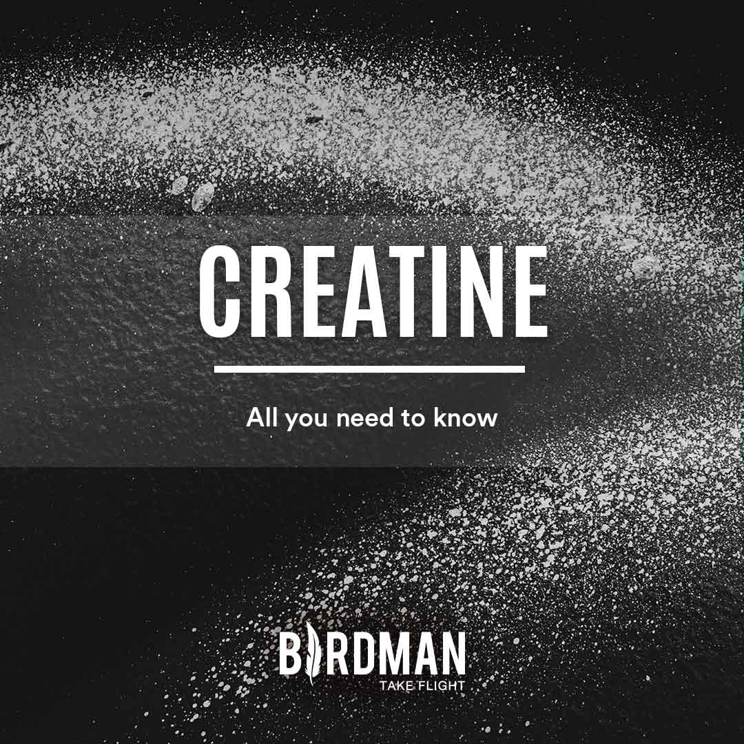 Creatine 101 - Everything you Need to Know | Birdman Life Blog ...