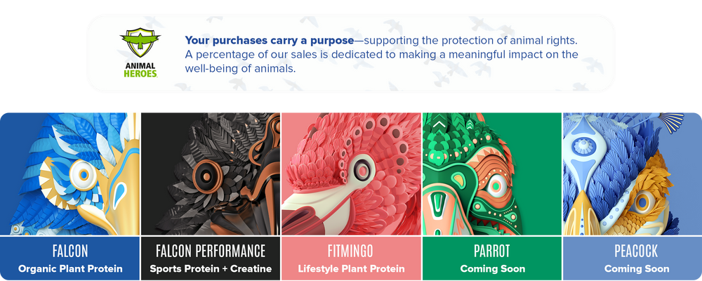 Birdman Life | Falcon Protein - Organic Supplements for Your Wellbeing