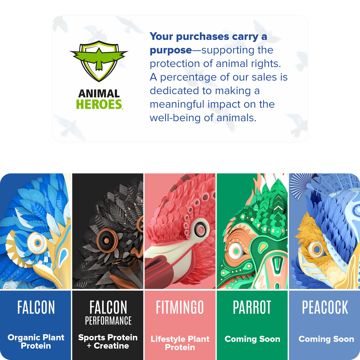 Our Story - Birdman USA