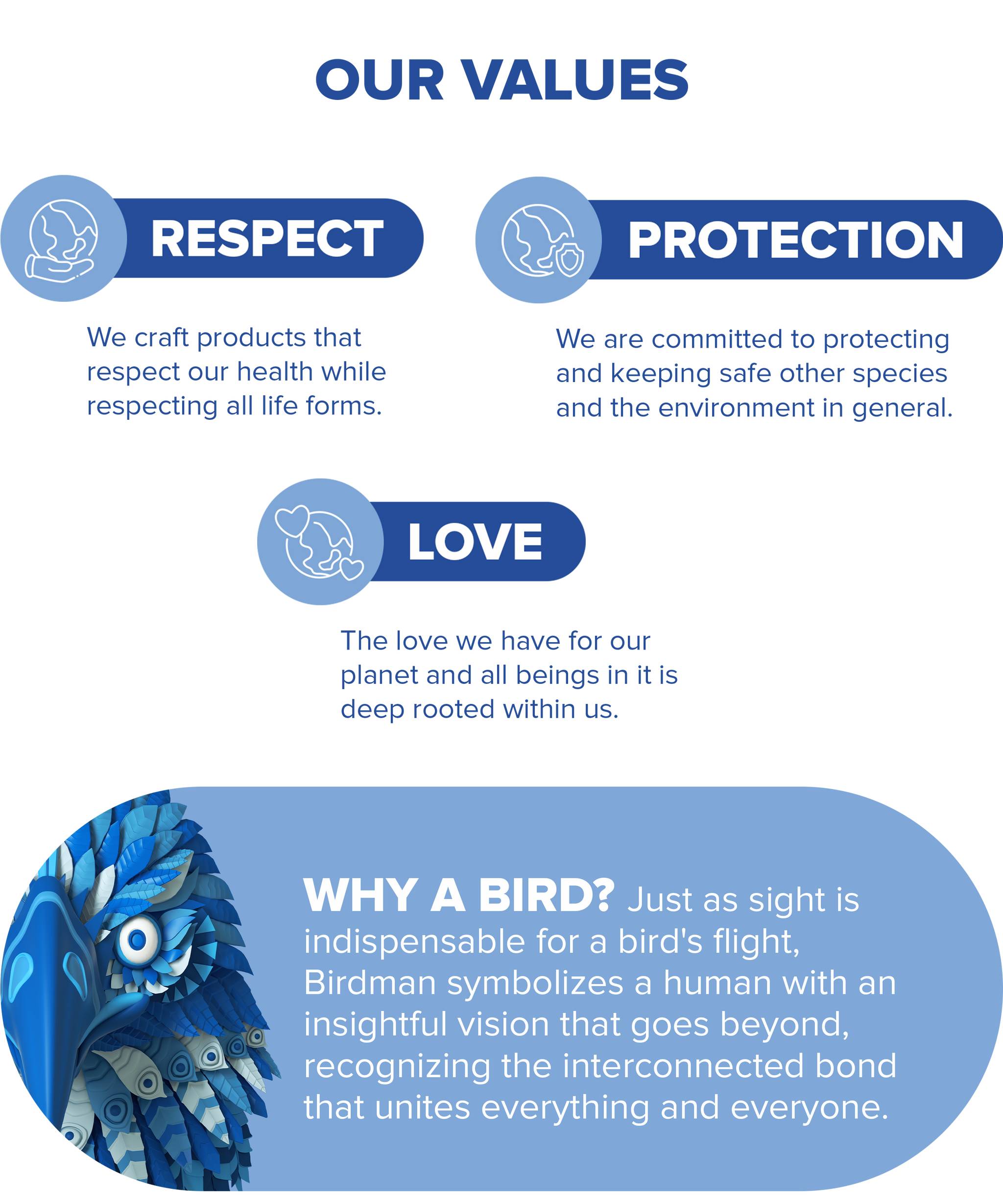 Our Story - Birdman USA