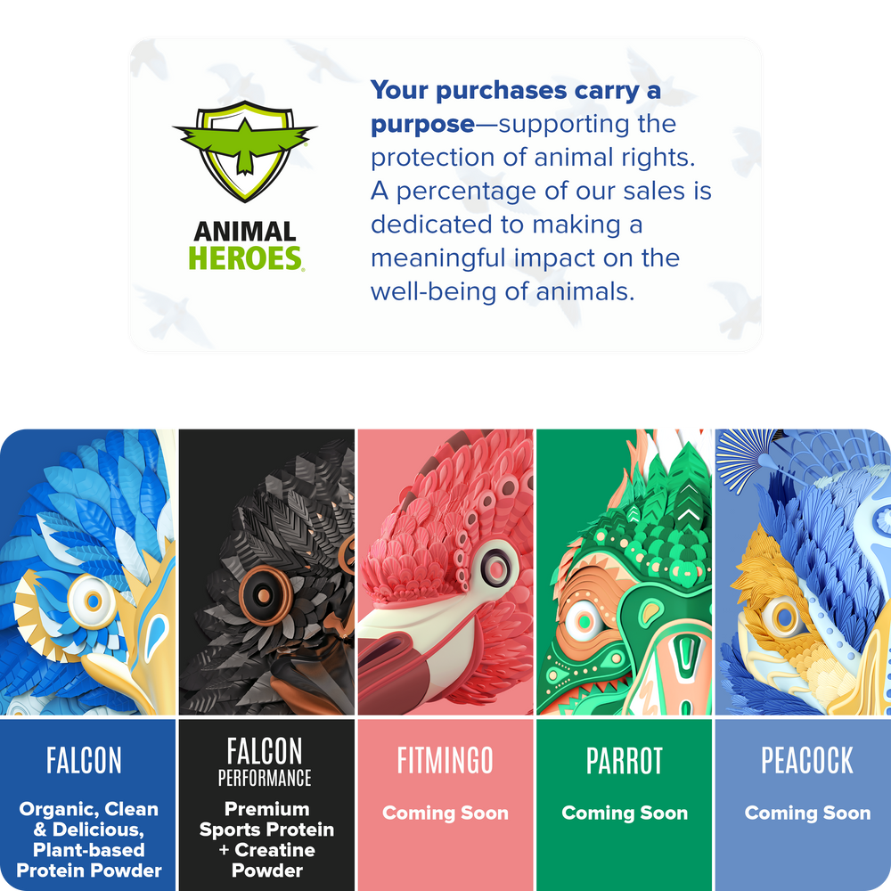 Our Story - Birdman Life